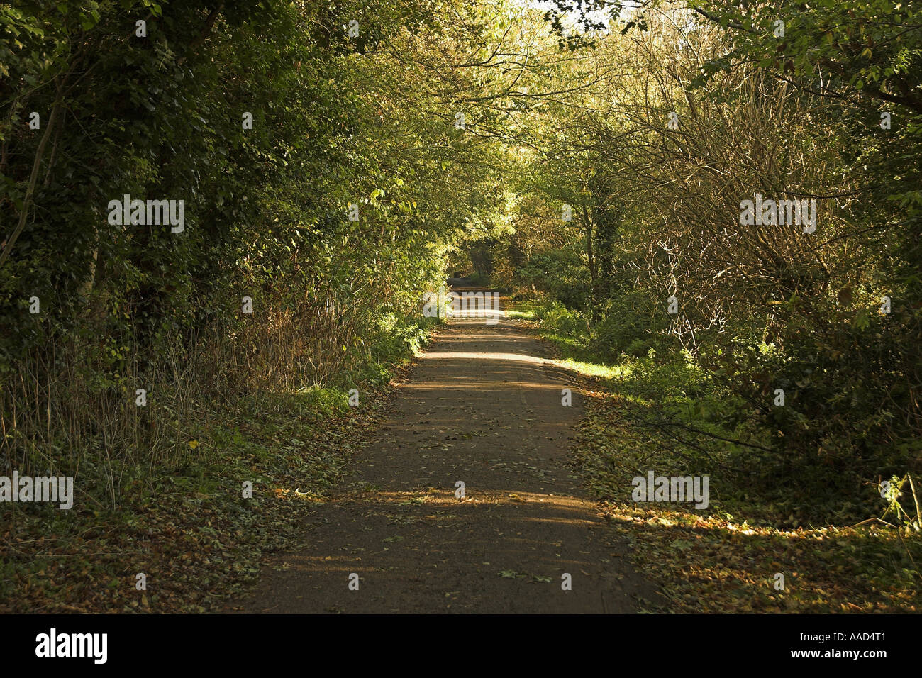 Ouse valley footpath hi-res stock photography and images - Alamy