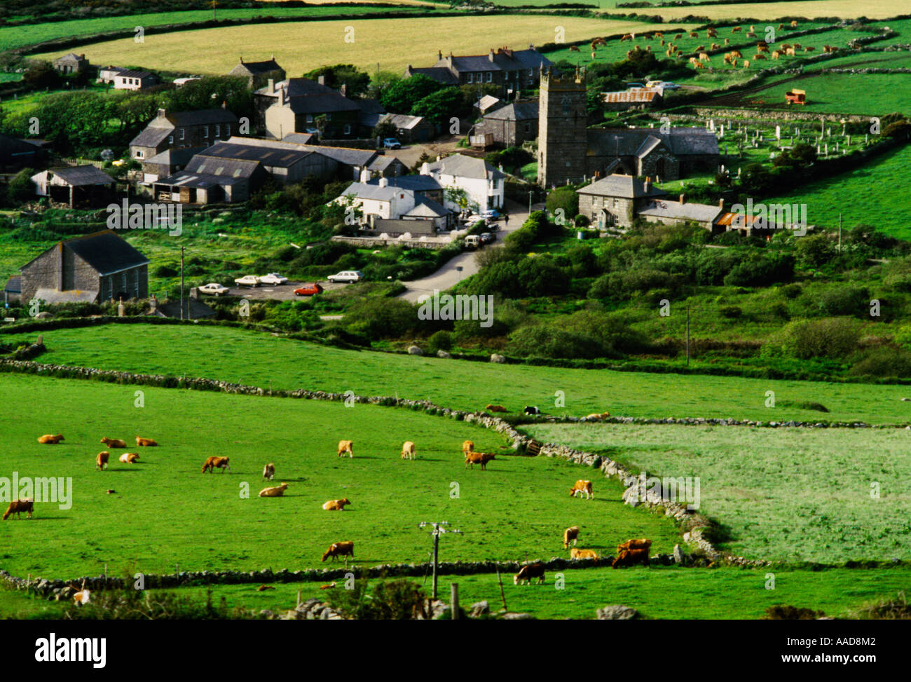 Dartmoor Devon Landscape Houses & Fields Stock Photo - Alamy