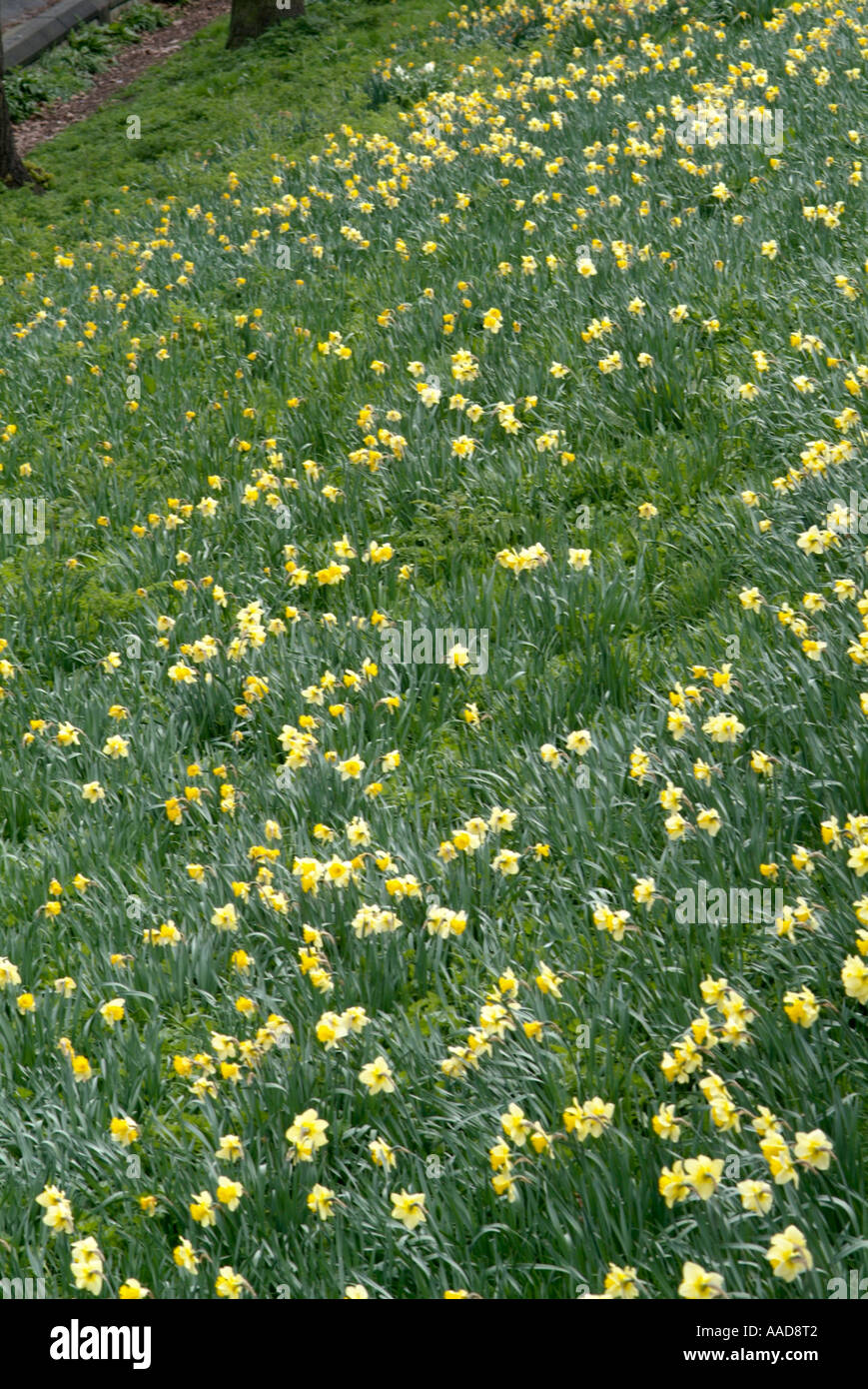 English spring time hi-res stock photography and images - Alamy