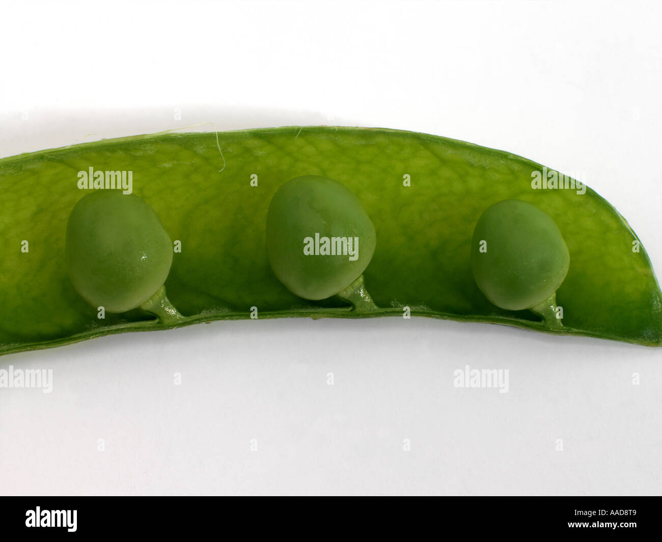 Three Peas in a Pod Stock Photo - Alamy