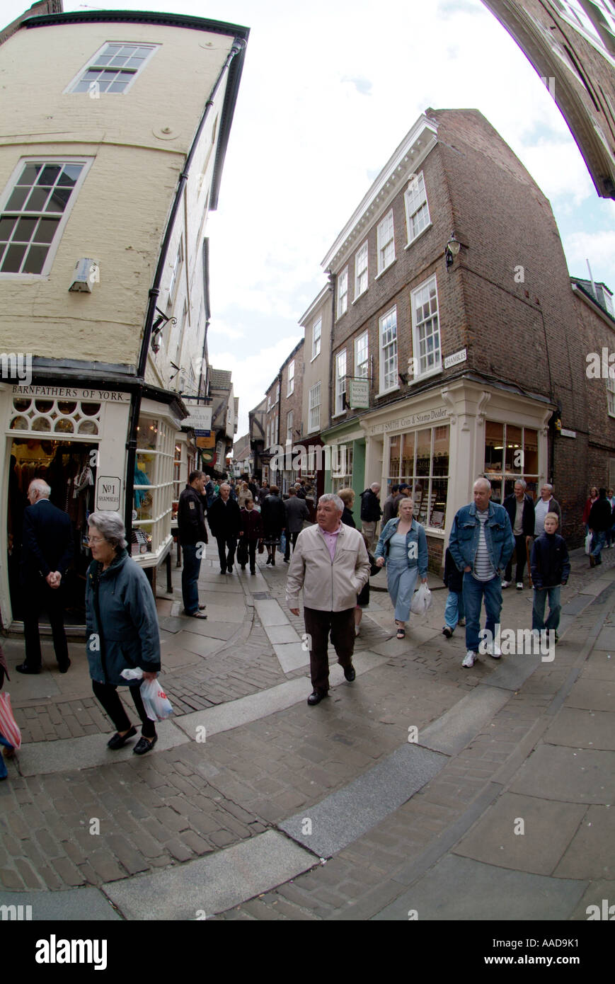 the Shambles York North Yorkshire England uk Stock Photo - Alamy