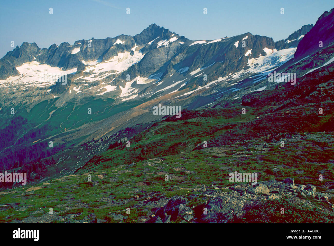 Forbidden Peak above Boston Basin Stock Photo - Alamy