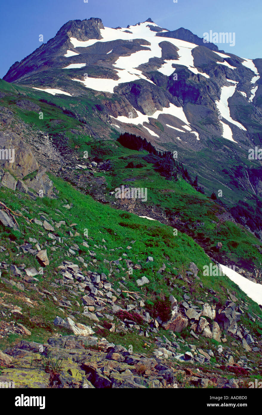 Sahale arm hi-res stock photography and images - Alamy