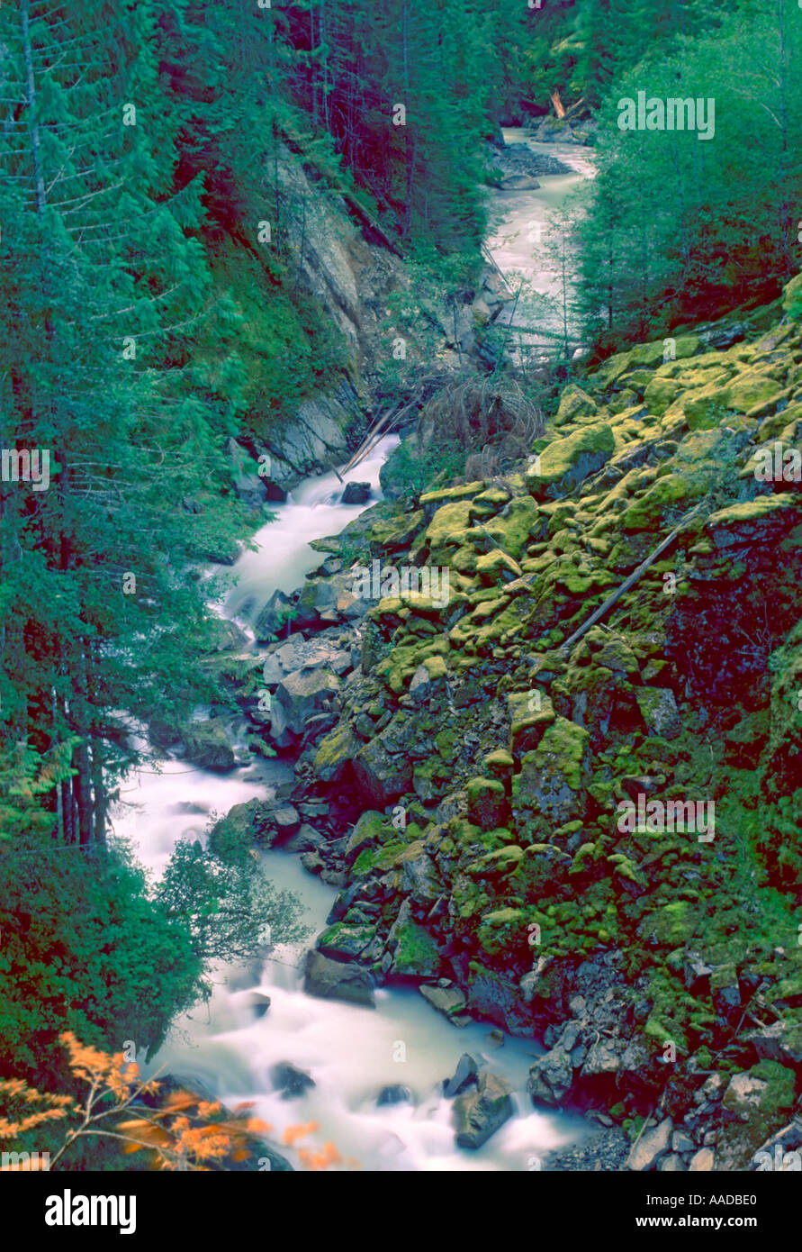 Nooksack valley hi-res stock photography and images - Alamy