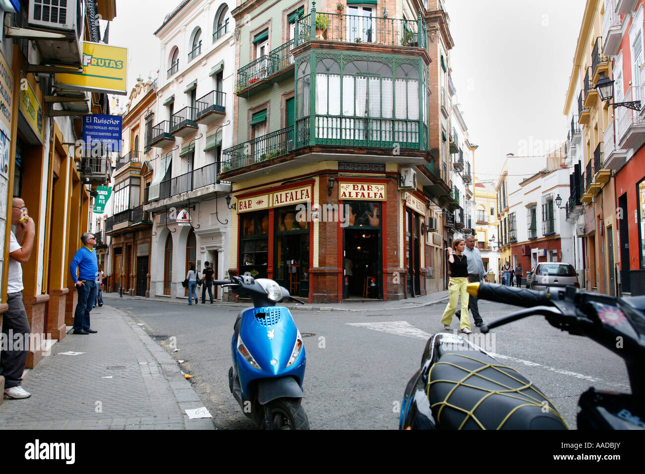 Alfalfa sevilla square hi-res stock photography and images - Alamy
