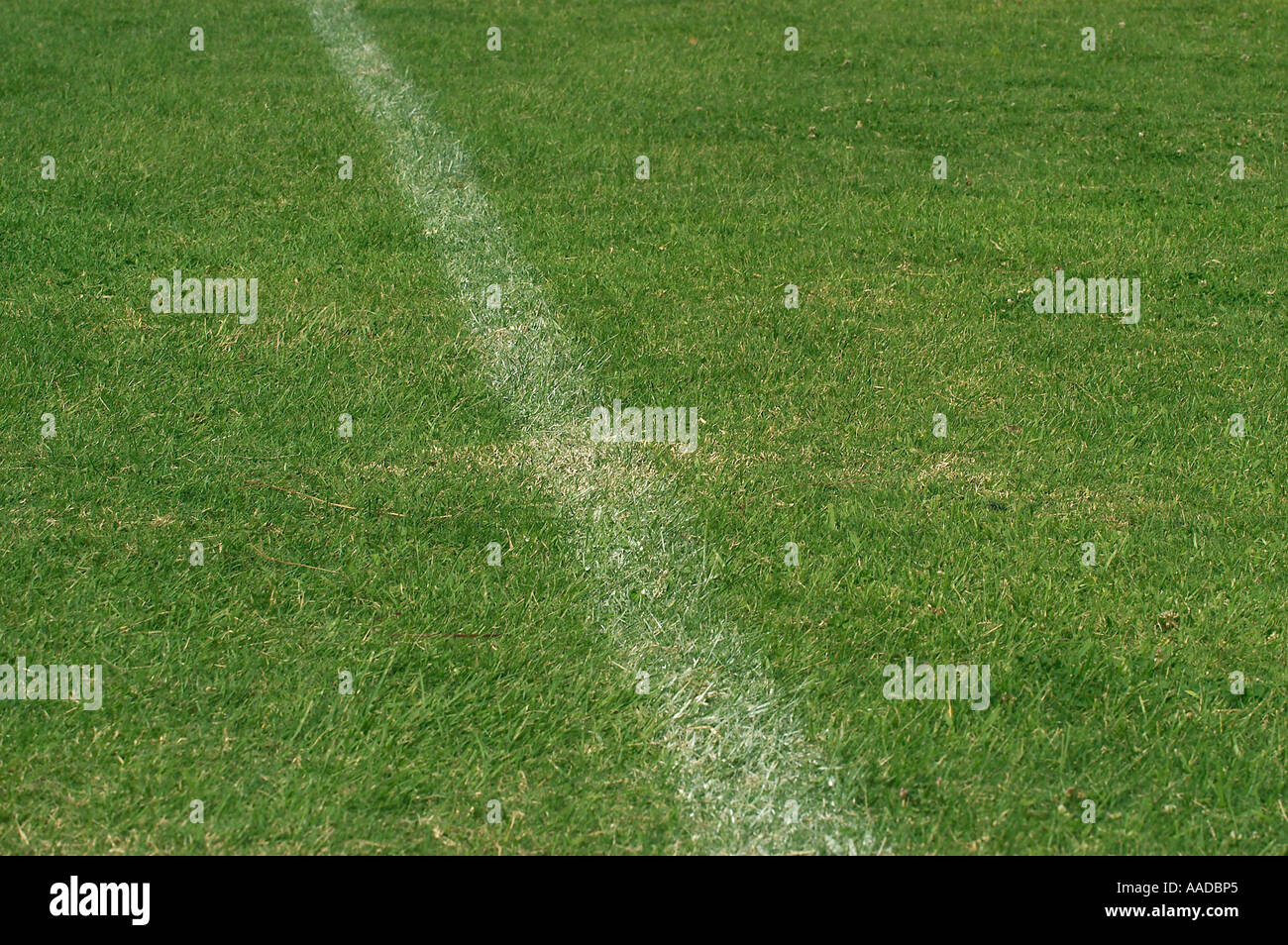 sports field line Stock Photo - Alamy