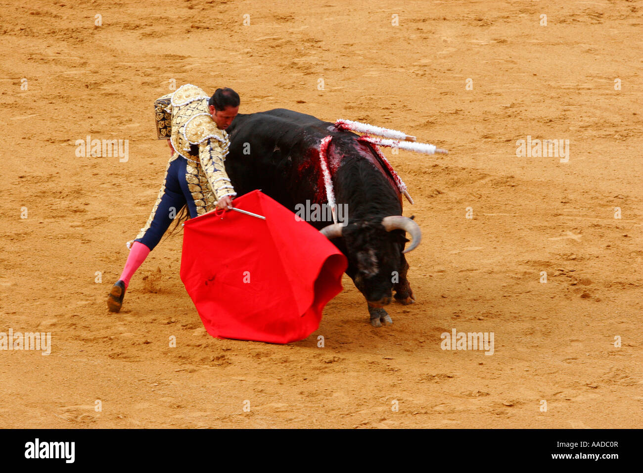 Bullfighting at the Maestranza bullring Seville Spain Stock Photo - Alamy