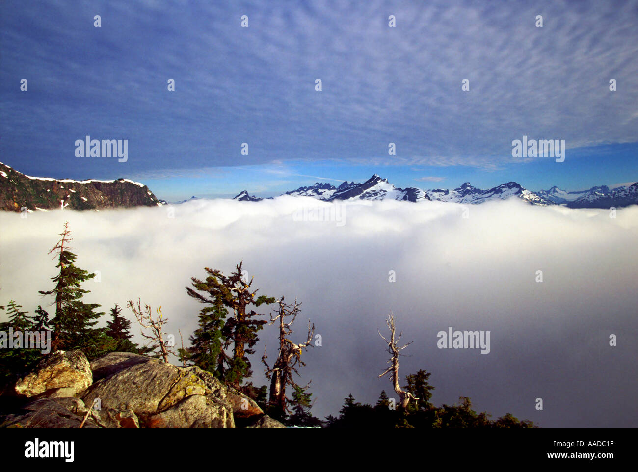 The Picket Range above a sea of clouds Stock Photo - Alamy