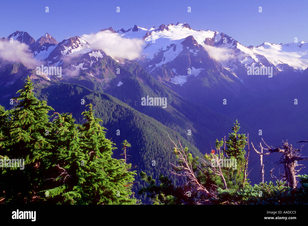 Olympus range hi-res stock photography and images - Alamy