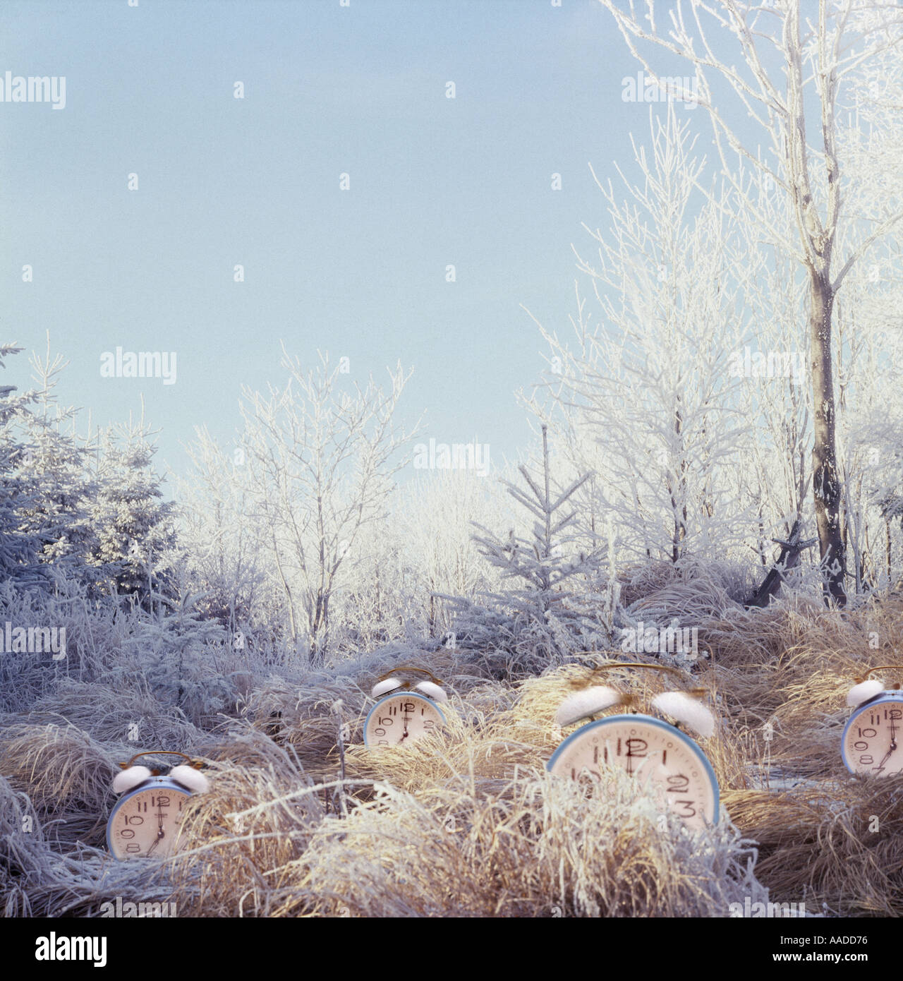 January Winter Scene Clip Art