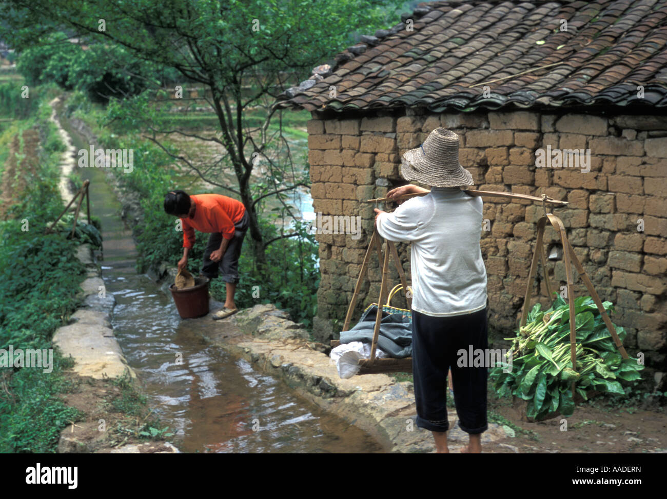 Carrying water yoke hi-res stock photography and images - Alamy