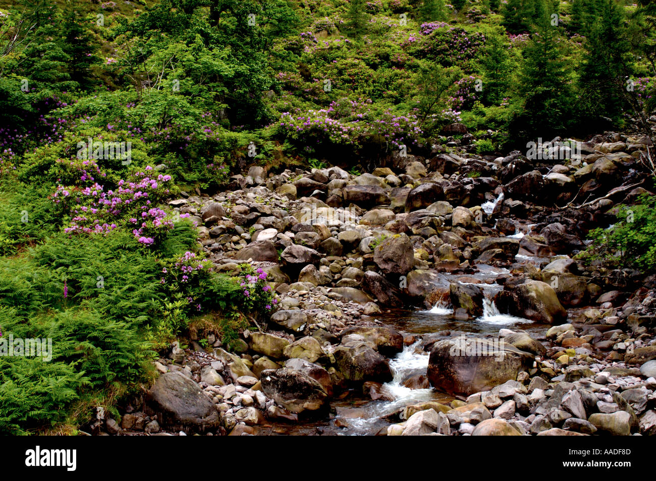 Balgy Falls Wester Ross Highlands Scotland Stock Photo - Alamy