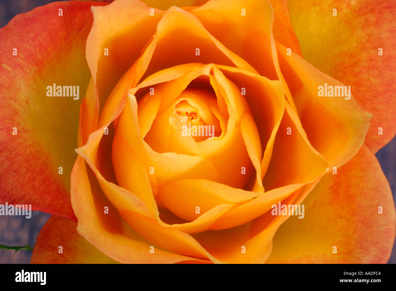 Inspirational Faith Poster High Resolution Stock Photography and Images ...