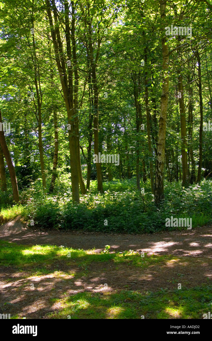 Wyre forest midlands hi-res stock photography and images - Alamy