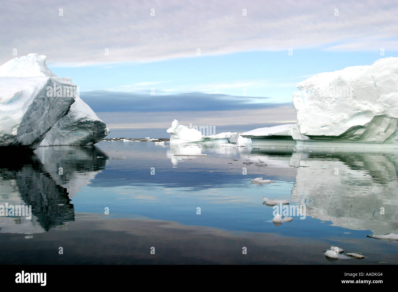 Spectacular colours, reflections and shapes make Antarctica's icebergs ...