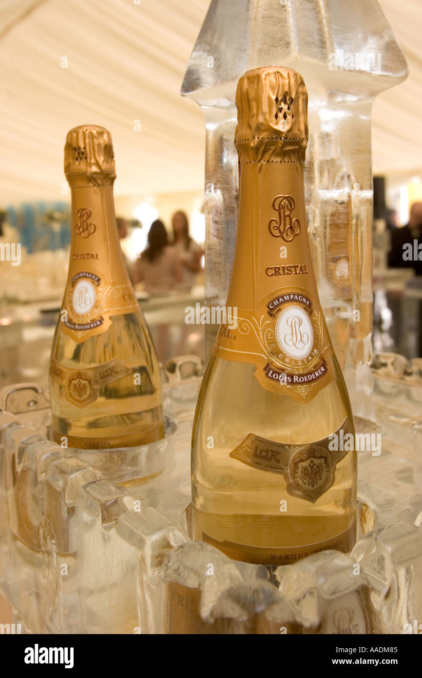 Luxury Cristal Champagne in Ice Bar Stock Photo - Alamy