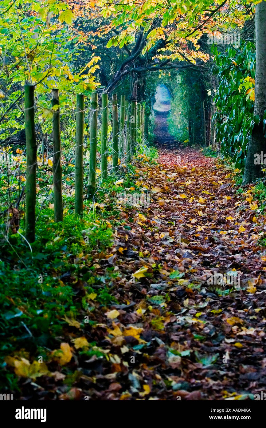 Straight path receding distance hi-res stock photography and images - Alamy