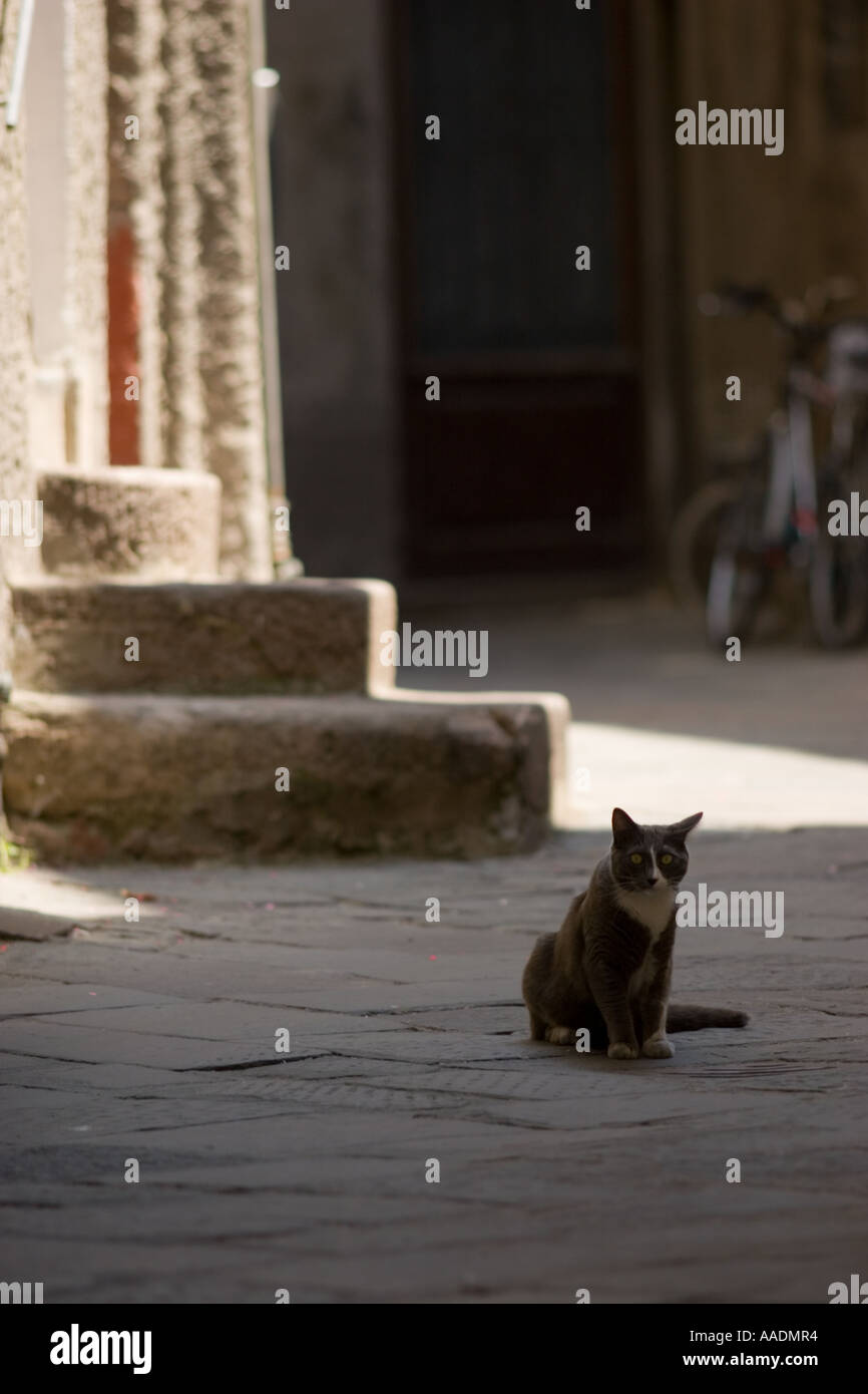 Queit street hi-res stock photography and images - Alamy
