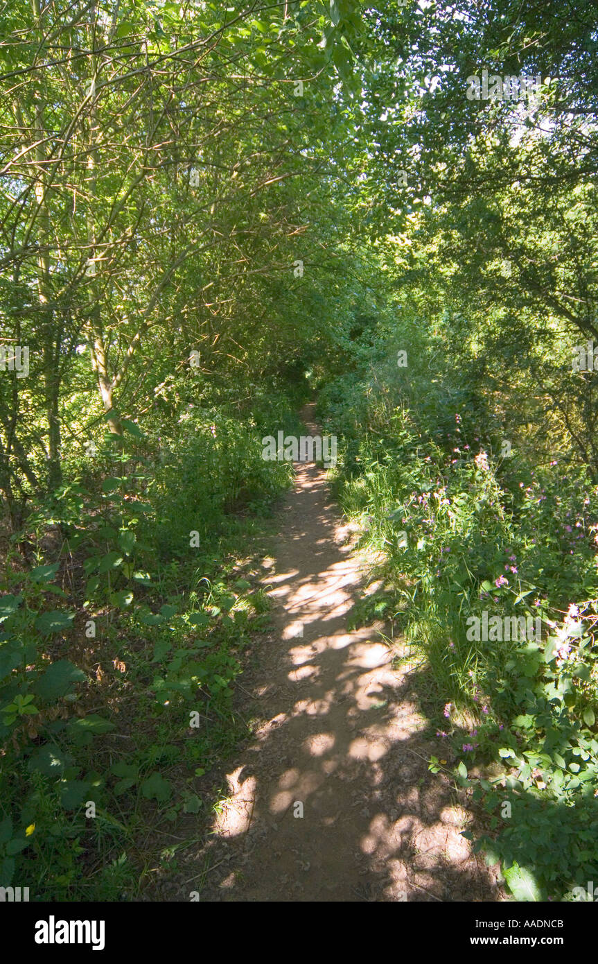 Severn valley country park hi-res stock photography and images - Alamy