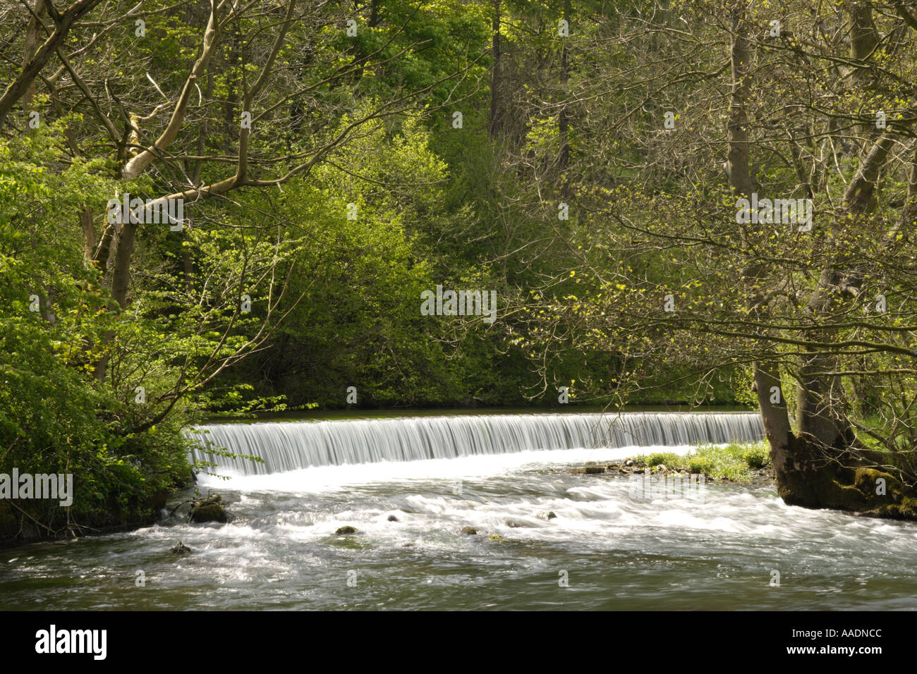 River Wye in the peak district Derbyshire UK Stock Photo - Alamy