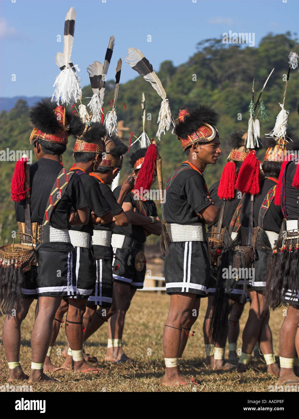 MYANMAR Naga men wearing headdress with wild boar teeth bear fur topped ...