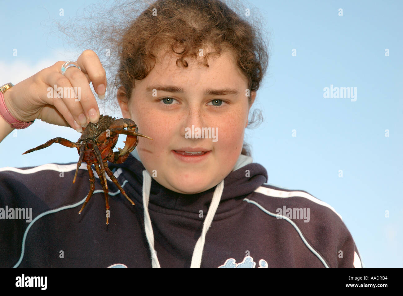 Girl holding a crab in Bidemouth Devon UK Stock Photo - Alamy