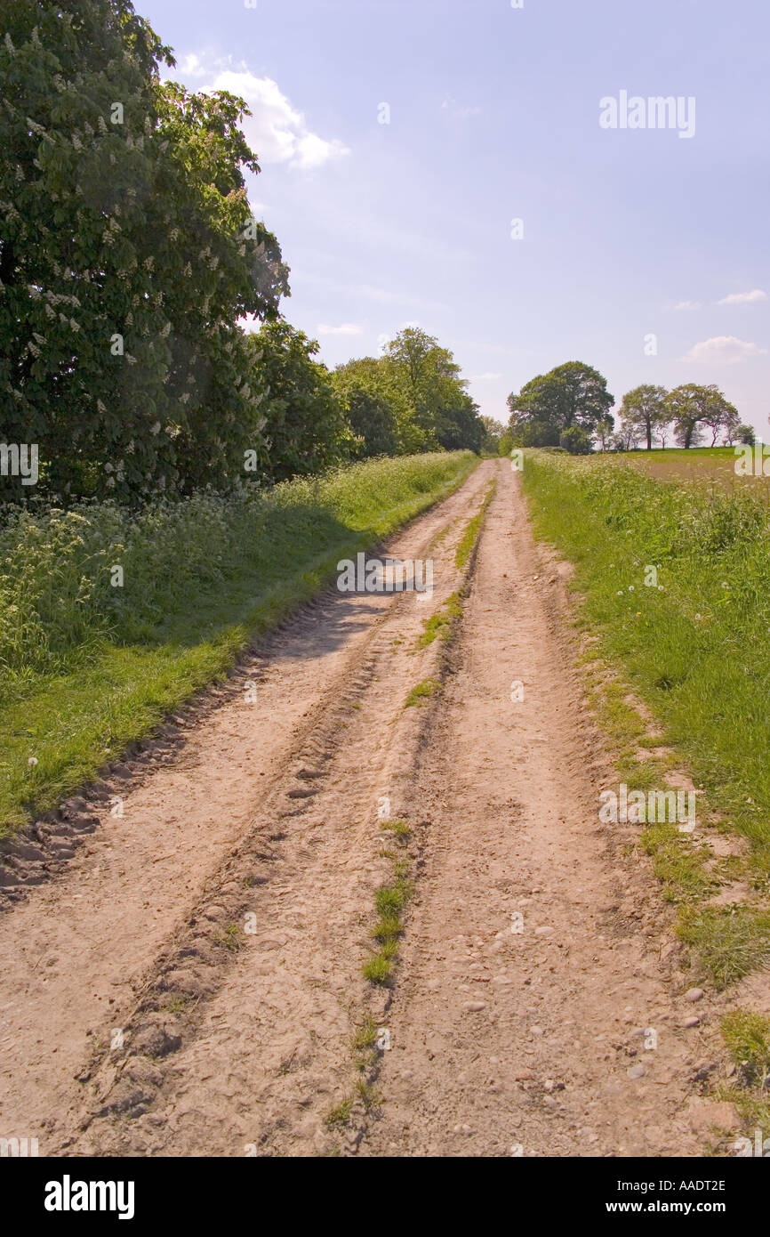 england west midlands warwickshire old footpath to umberslade hall ...