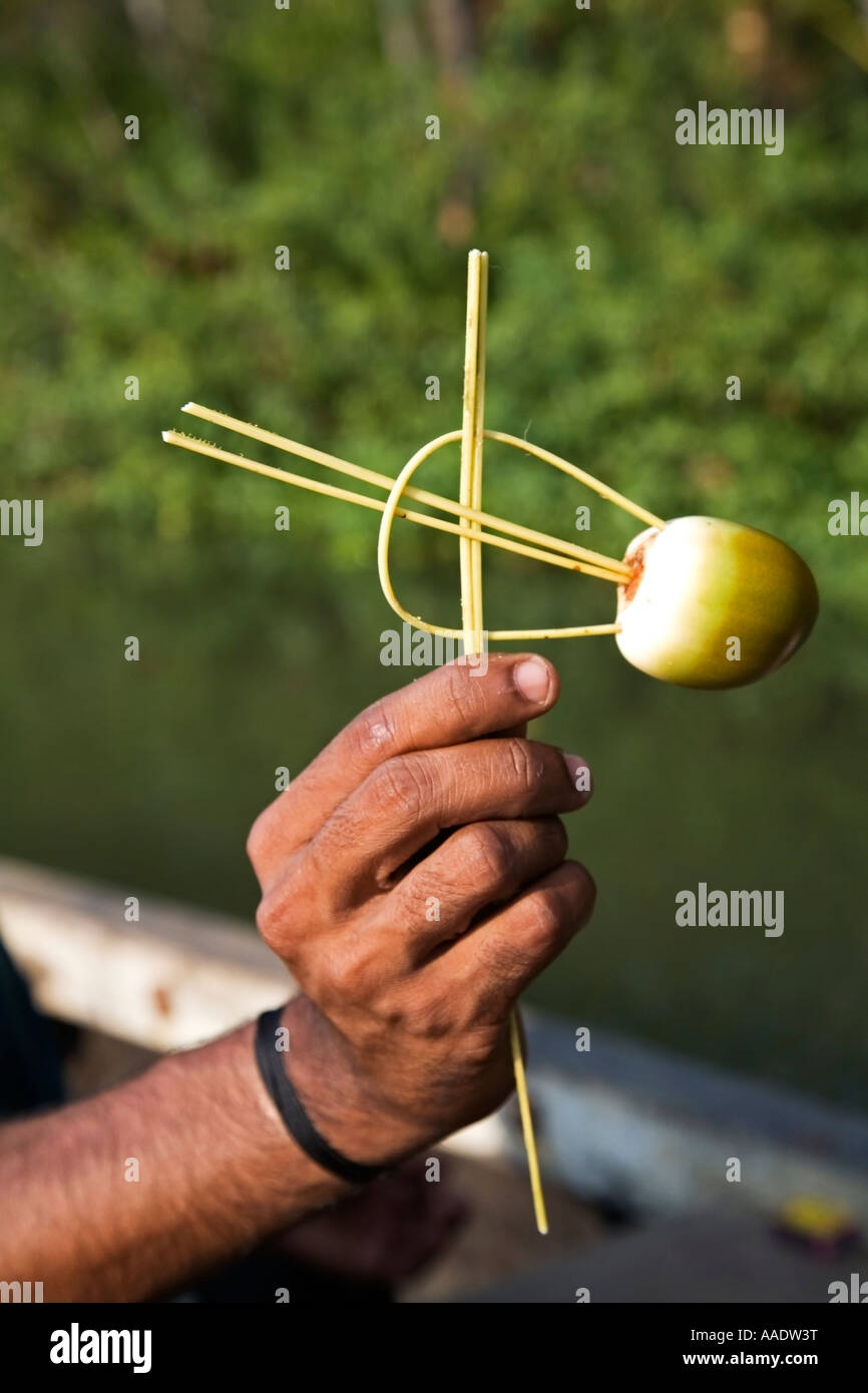 India Kerala Kollam Homemade clicking spinner made from the coconutpalm ...