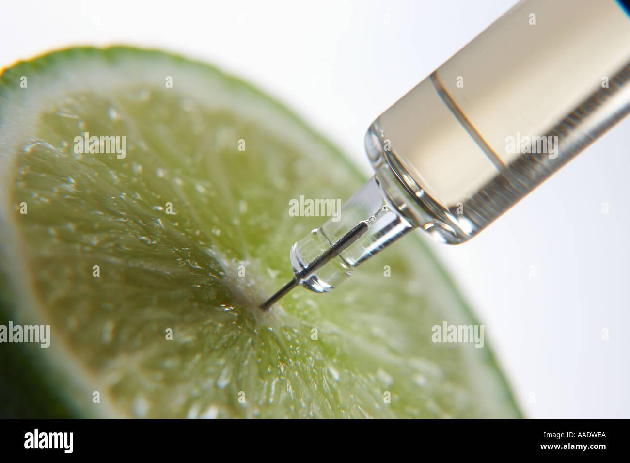 Lime Genetic fruit manipulation concept Stock Photo - Alamy