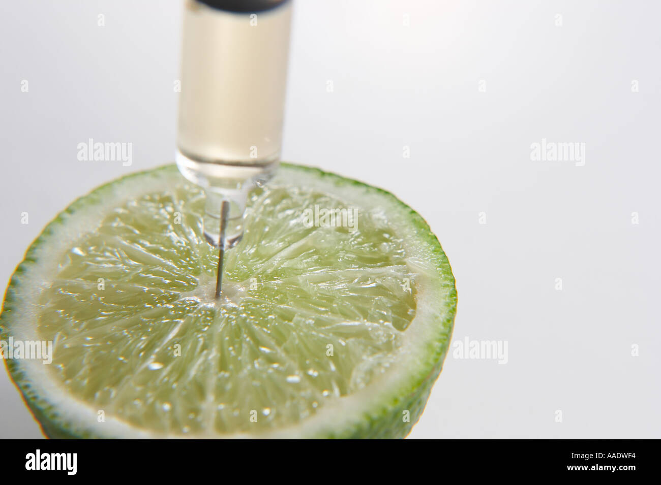 Lime Genetic fruit manipulation concept Stock Photo - Alamy