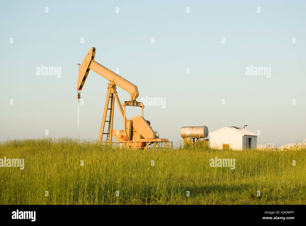 a producing oil well in a wheat field in the Texas panhandle Stock ...