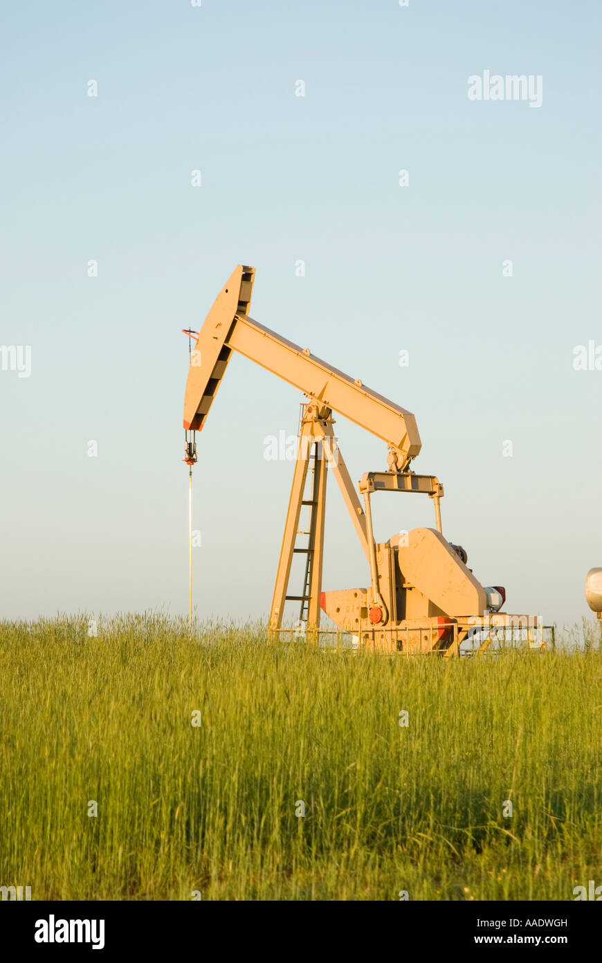 a producing oil well in a wheat field in the Texas panhandle Stock ...