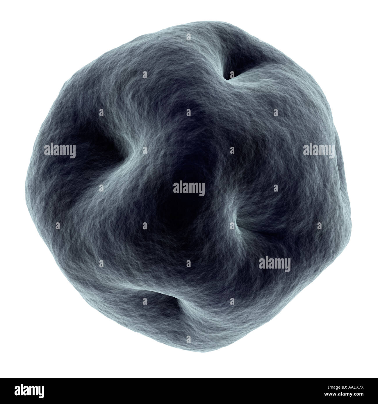 graphic computer generated black cell Stock Photo - Alamy