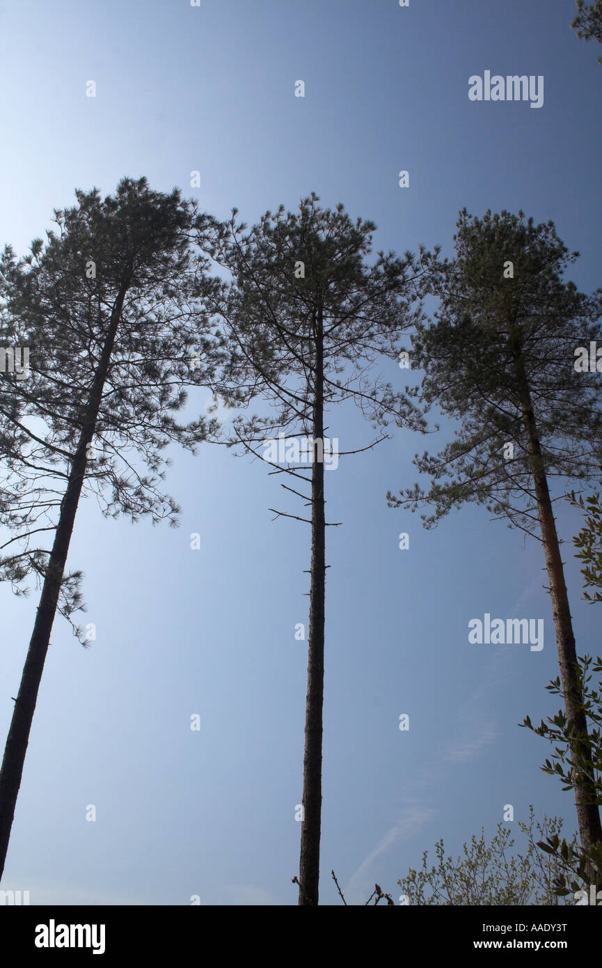 Pembrey country park llanelli hi-res stock photography and images - Alamy