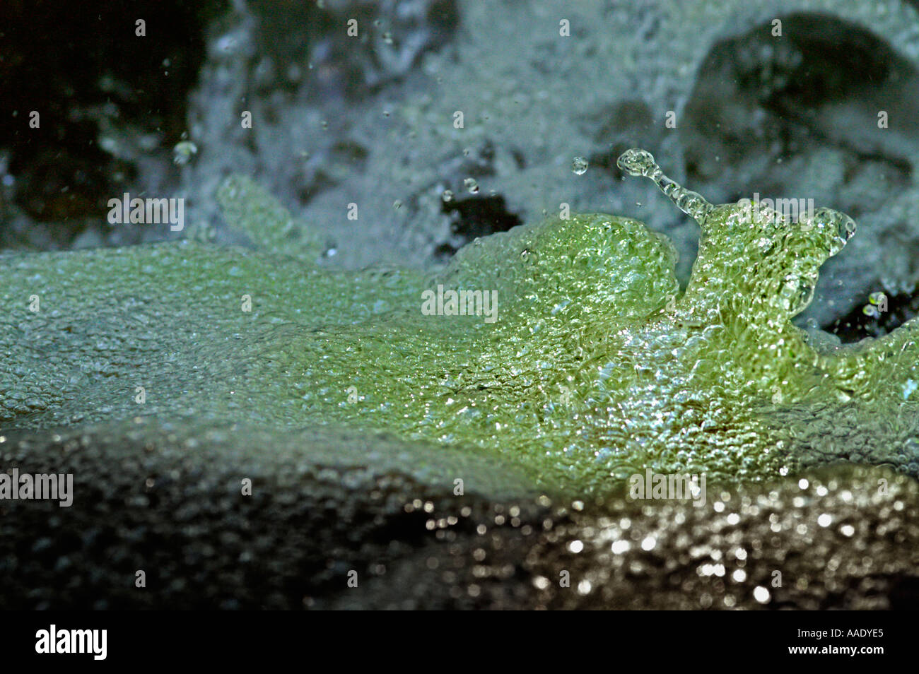 Water bubble snail shape Stock Photo - Alamy
