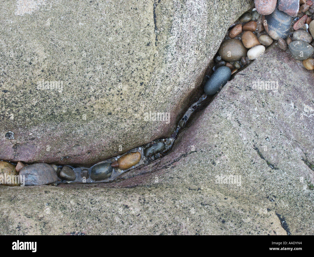 pebbles in a crack between two rocks on the beach Stock Photo - Alamy