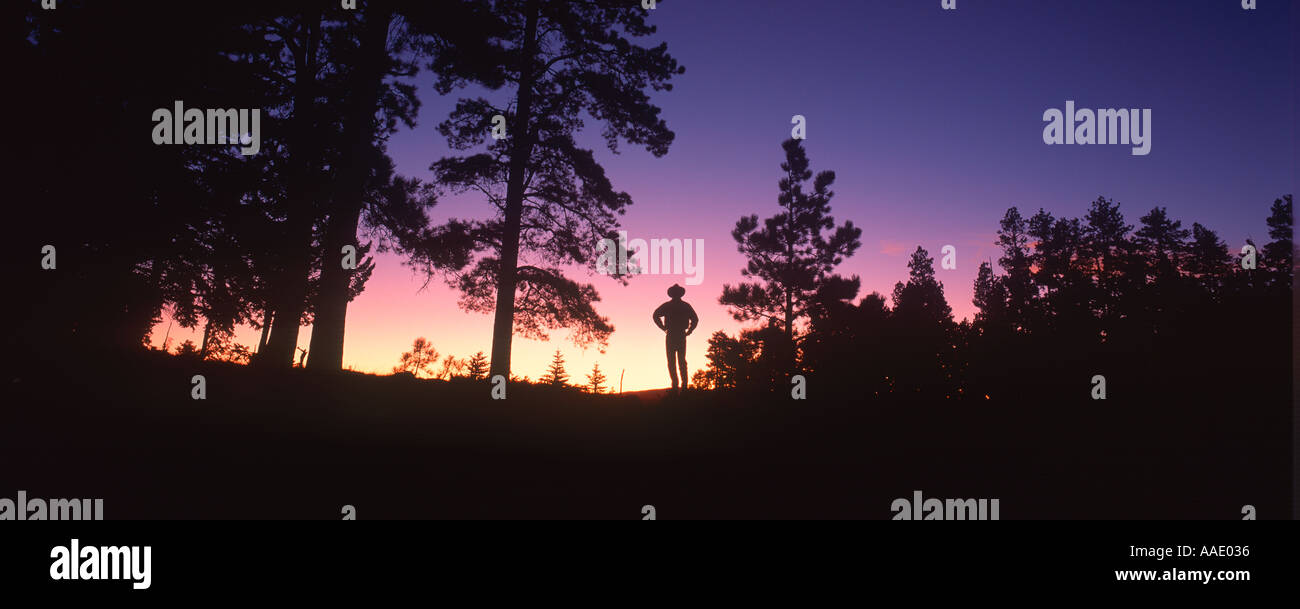 A person raises his arms to rejoice the sunset or sunrise in a forest ...