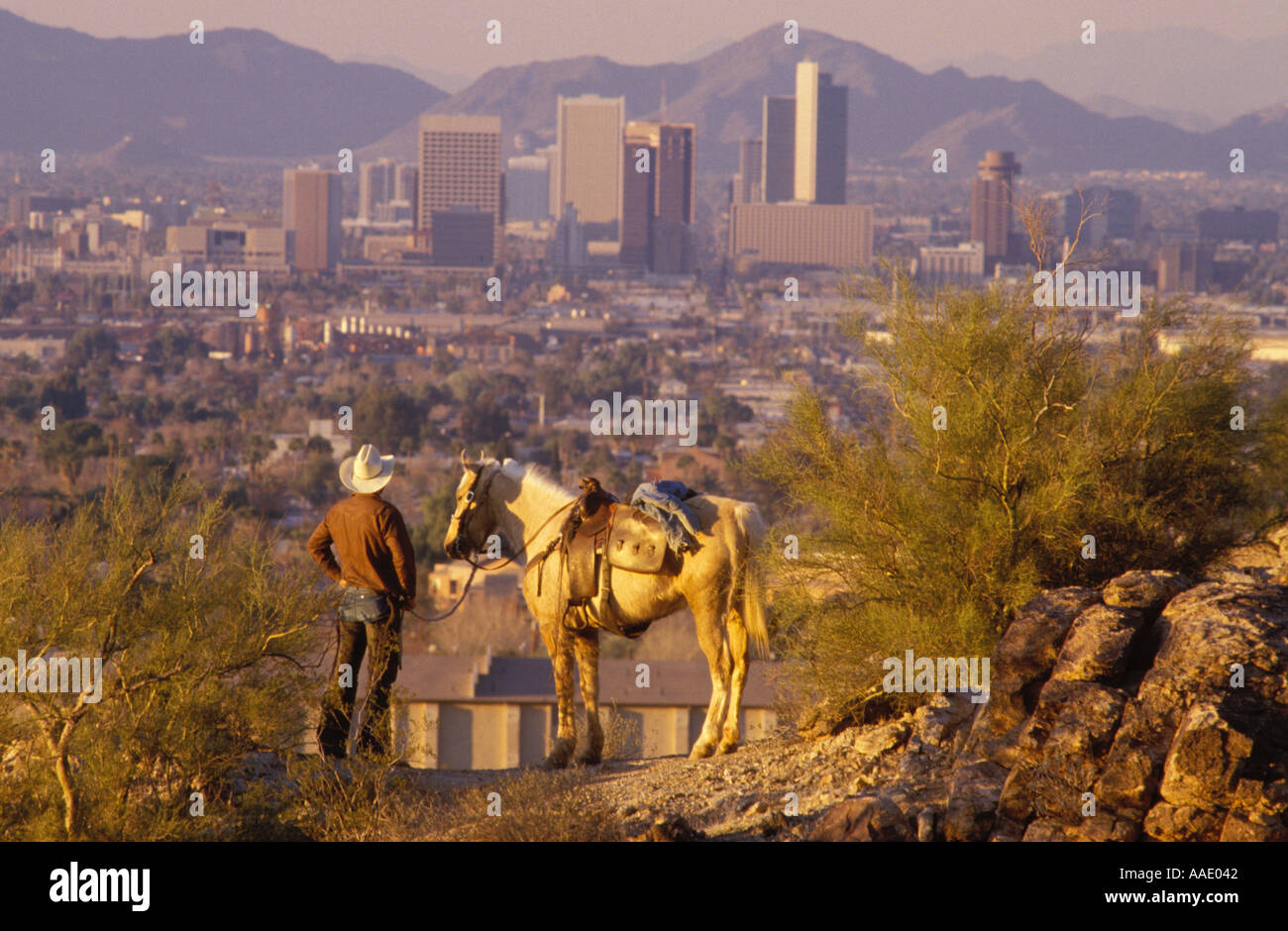Modern Cowboy Stock Photos & Modern Cowboy Stock Images - Alamy