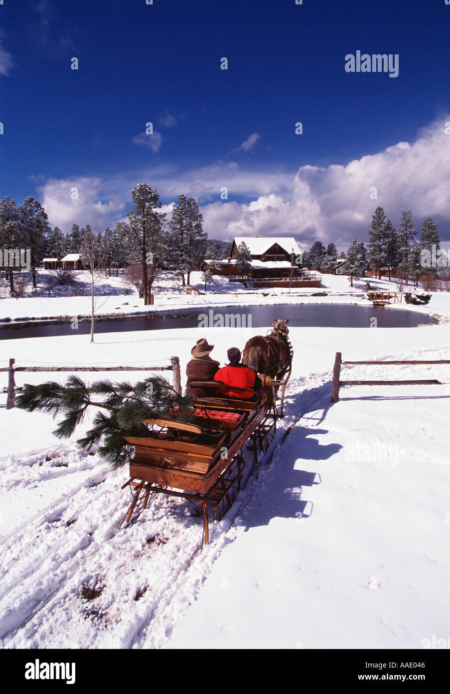 One horse open sleigh hi-res stock photography and images - Alamy