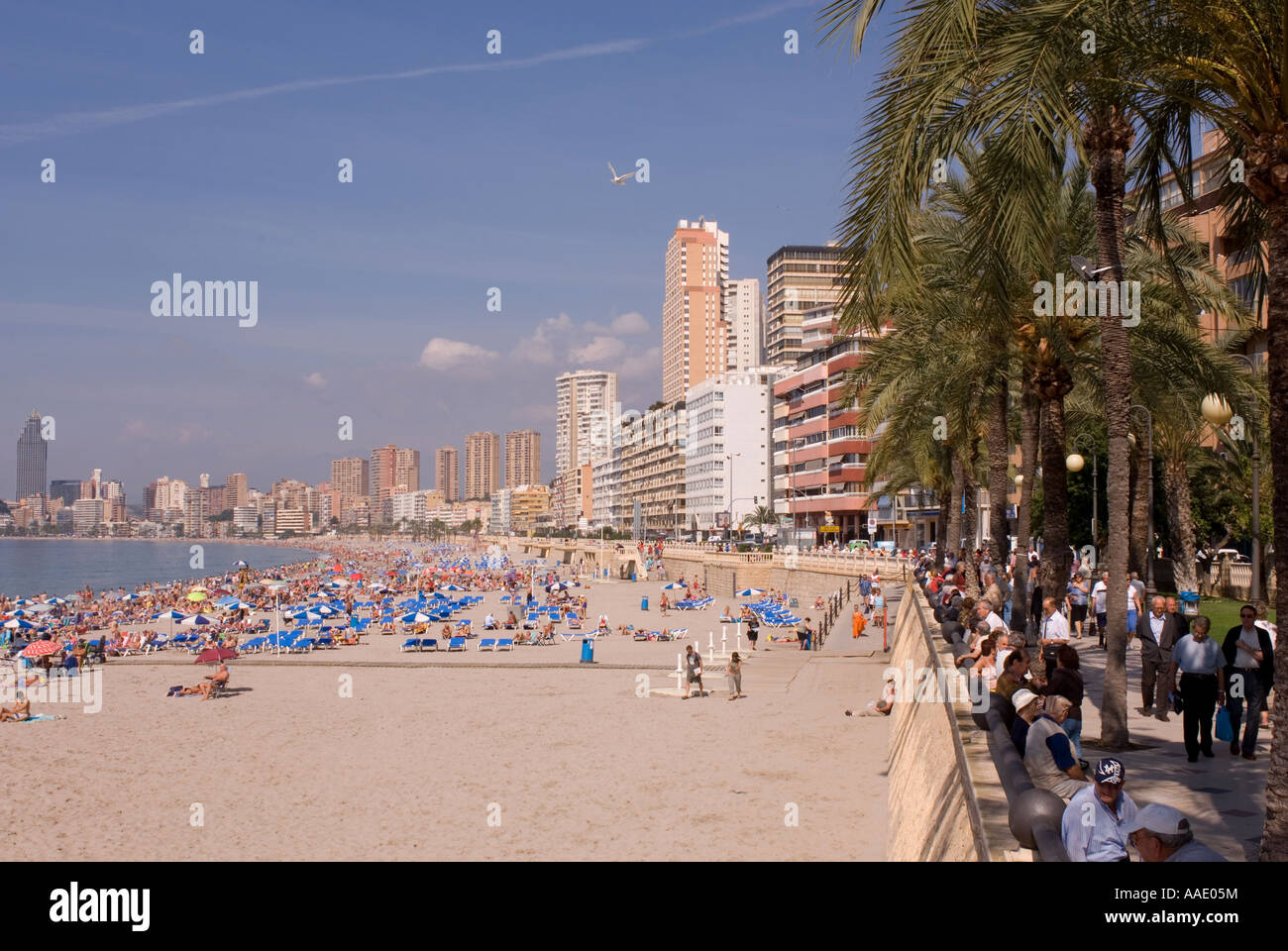Poniente beach Benidorm Costa Blanca Spain Stock Photo - Alamy