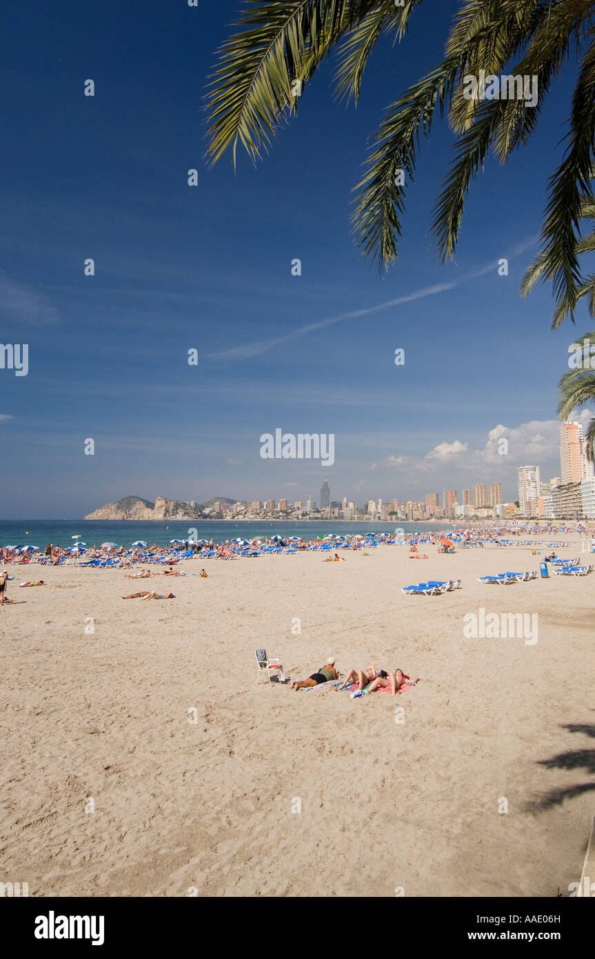 Poniente beach Benidorm Costa Blanca Spain Stock Photo - Alamy
