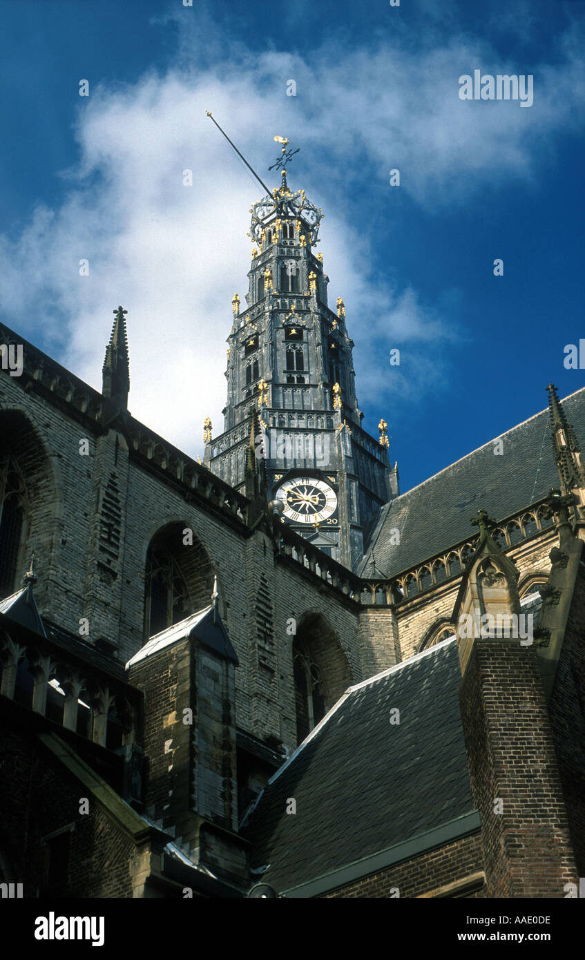 Saint bavokerk hi-res stock photography and images - Alamy