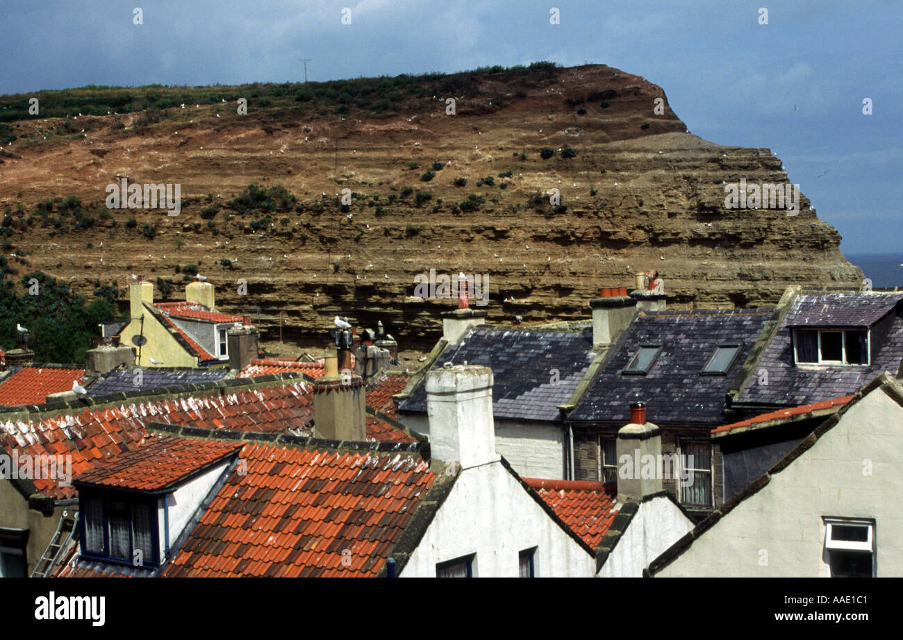 rooftops in staithes north yorkshire Stock Photo - Alamy