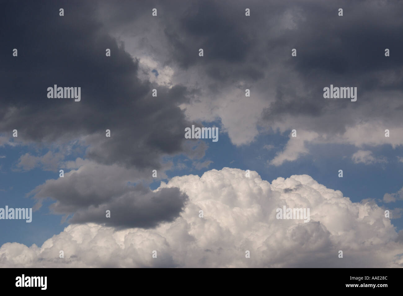 Rain laden Cumulus clouds northern California Stock Photo - Alamy