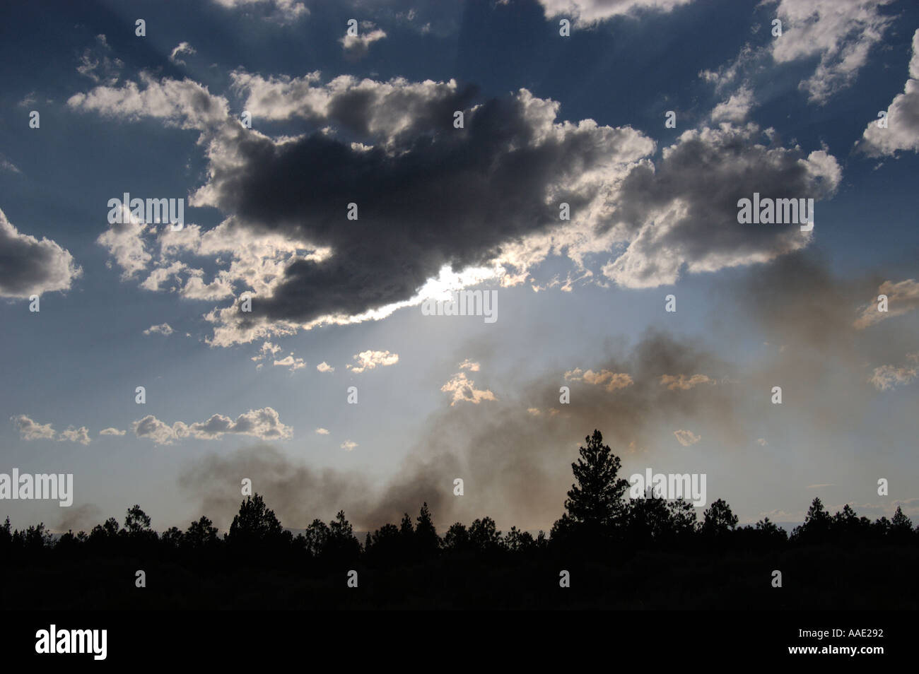 Fire from lightning strike hi-res stock photography and images - Alamy
