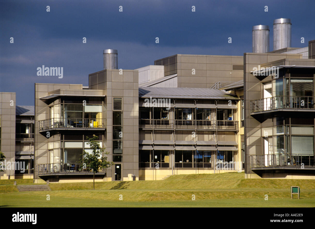 Wellcome genome hi-res stock photography and images - Alamy