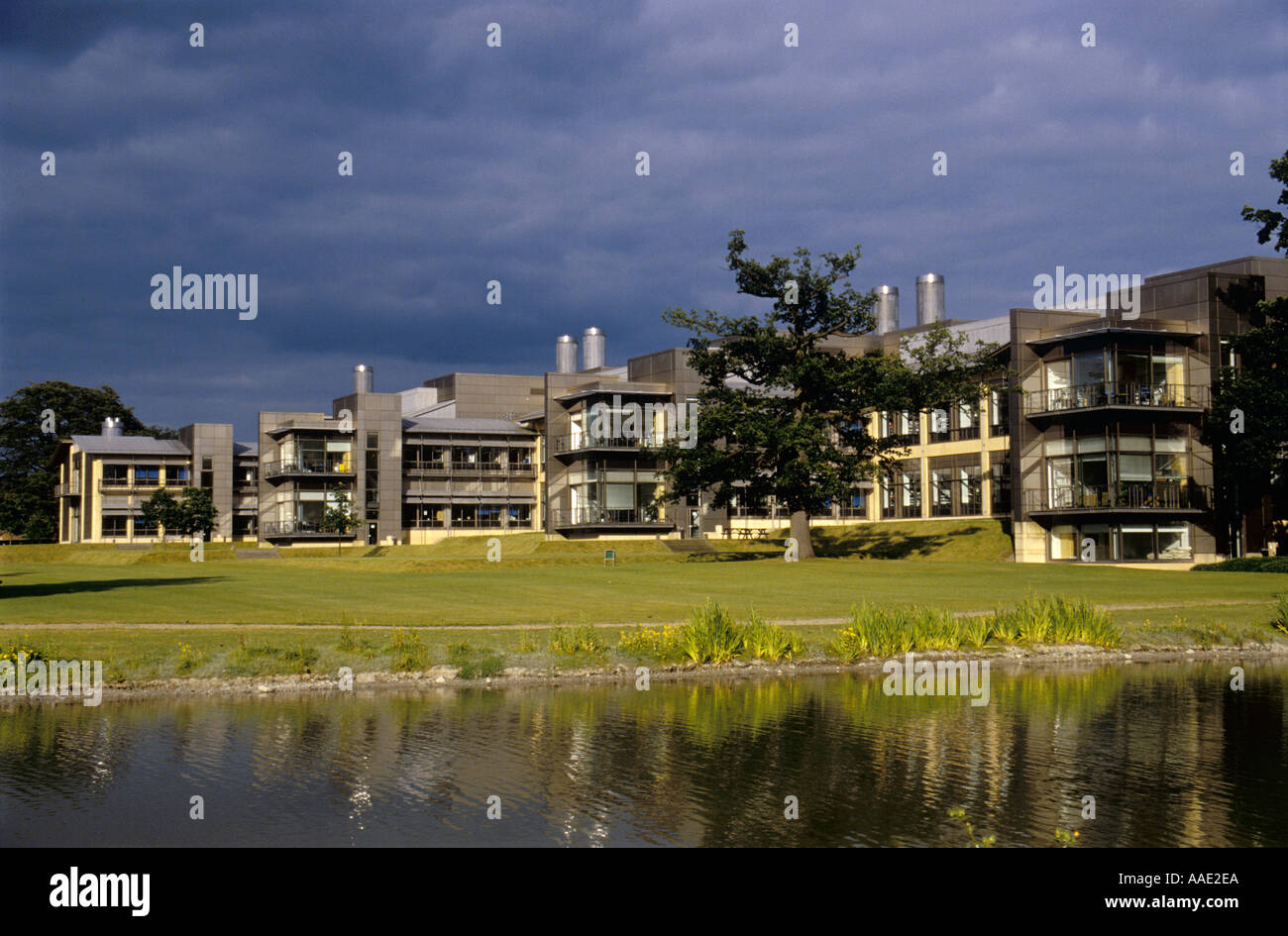 Wellcome genome hi-res stock photography and images - Alamy