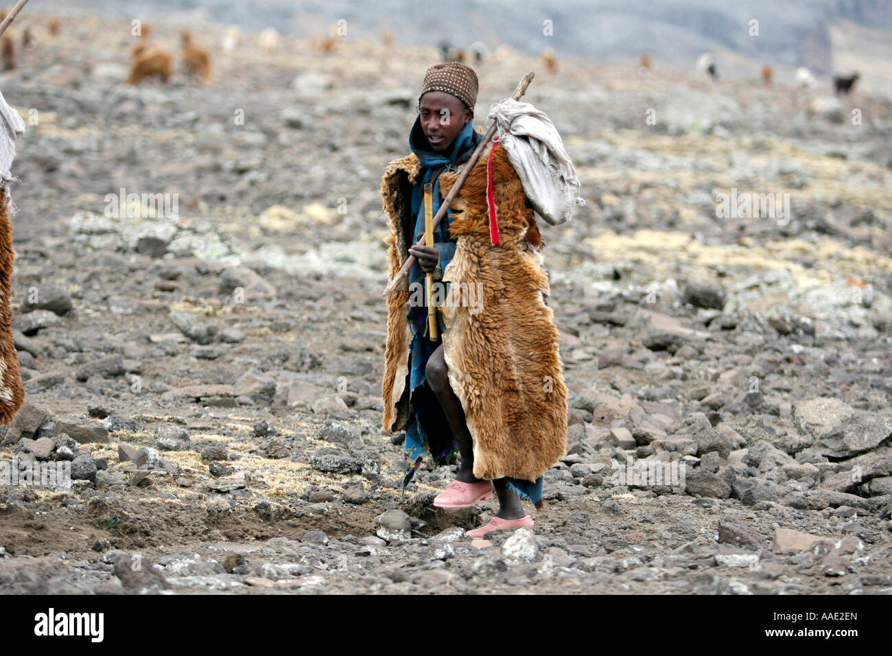Ethiopian shepherd hi-res stock photography and images - Alamy