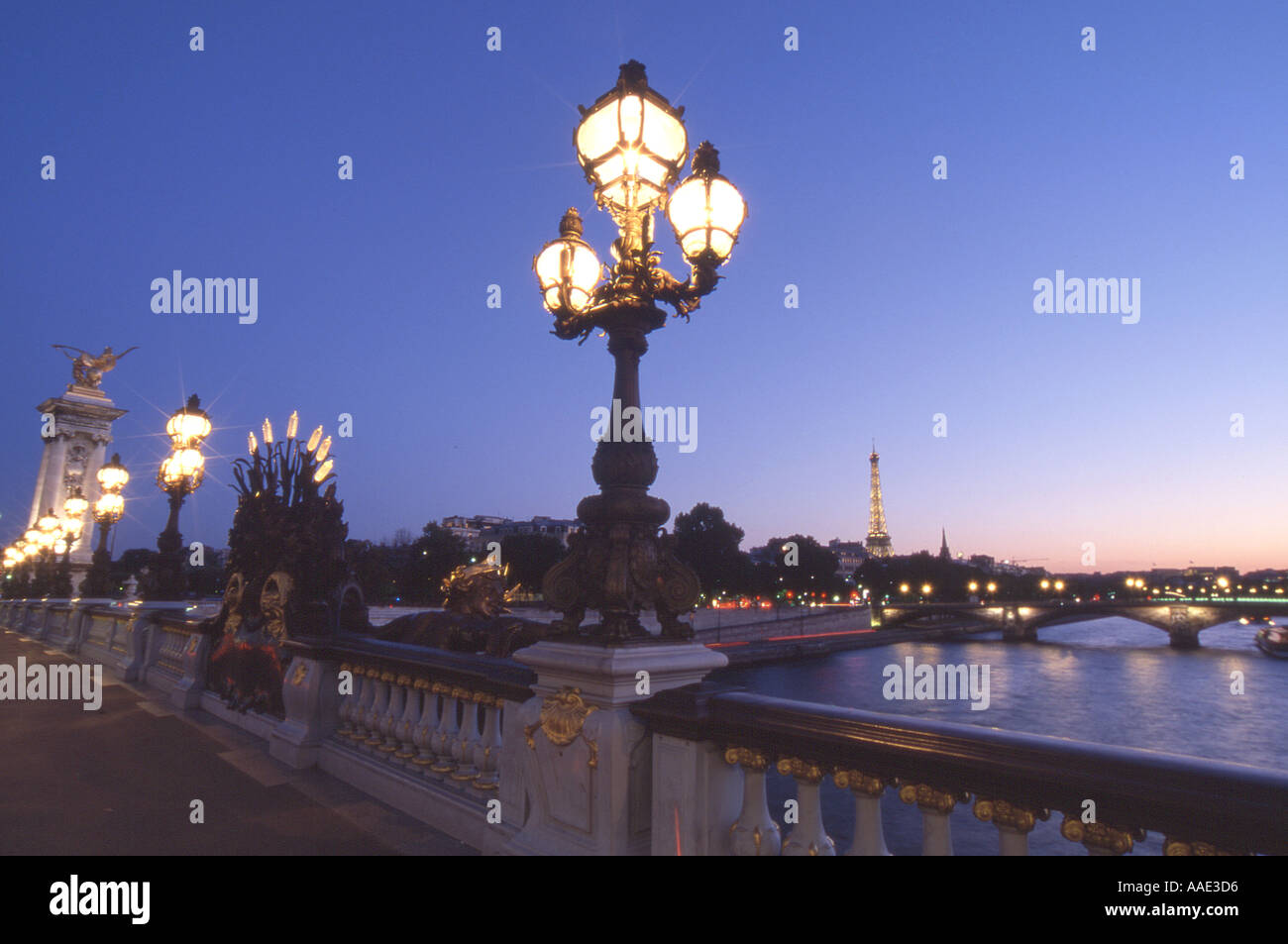 France Paris The Alexandre III bridge at night Stock Photo - Alamy
