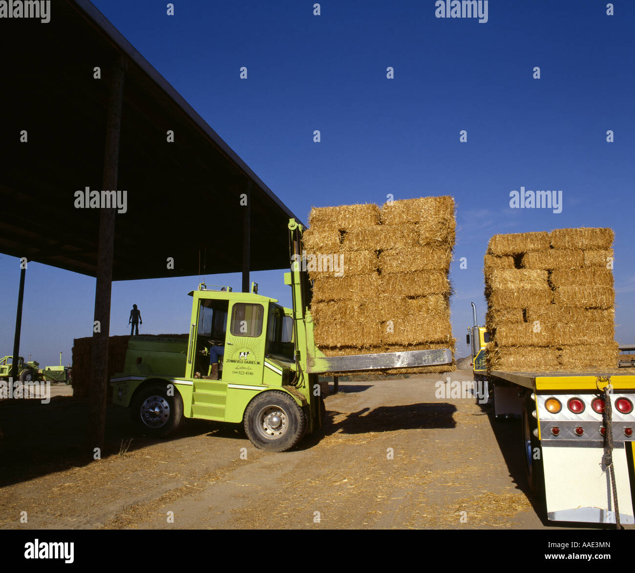 UNLOADING STRAW TRUCK CALIFORNIA Stock Photo - Alamy